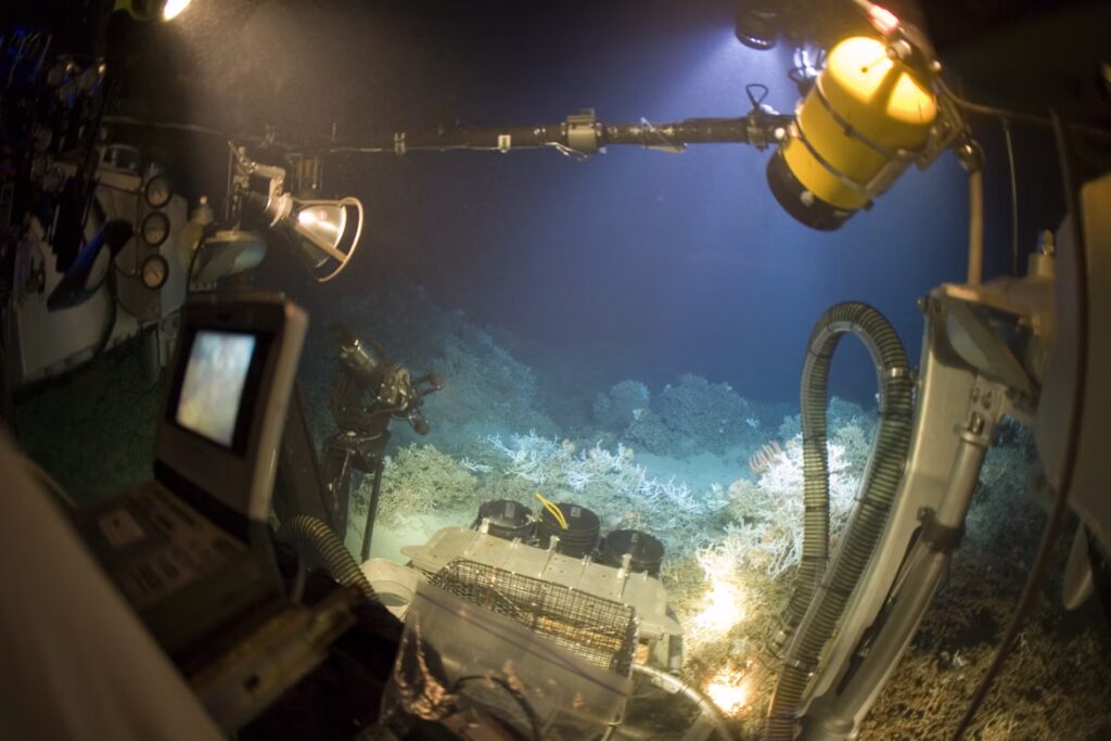 Webinar: Deep Sea to Deep Space (Part 1): The Future of Deep Sea Mining