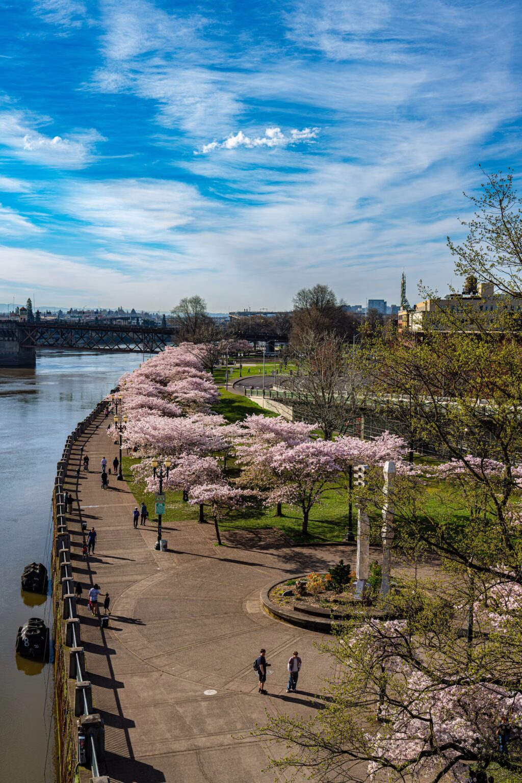 June 2025 | Newsletters